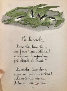 La lucciola, poesia dedicata al piccolo animale luminoso - Filastrocche.it