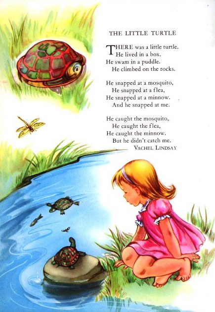The little turtle - Filastrocche.it